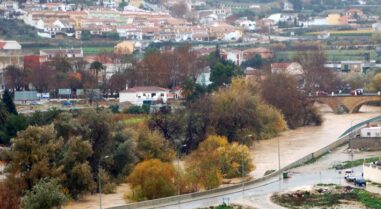 Matilde Ortiz es elegida responsable de Asociacionismo y Participación ...