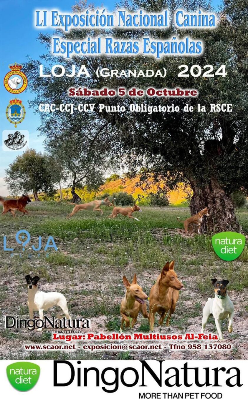 LI Exposición Nacional Canina Especial Razas Españolas - El Corto de Loja